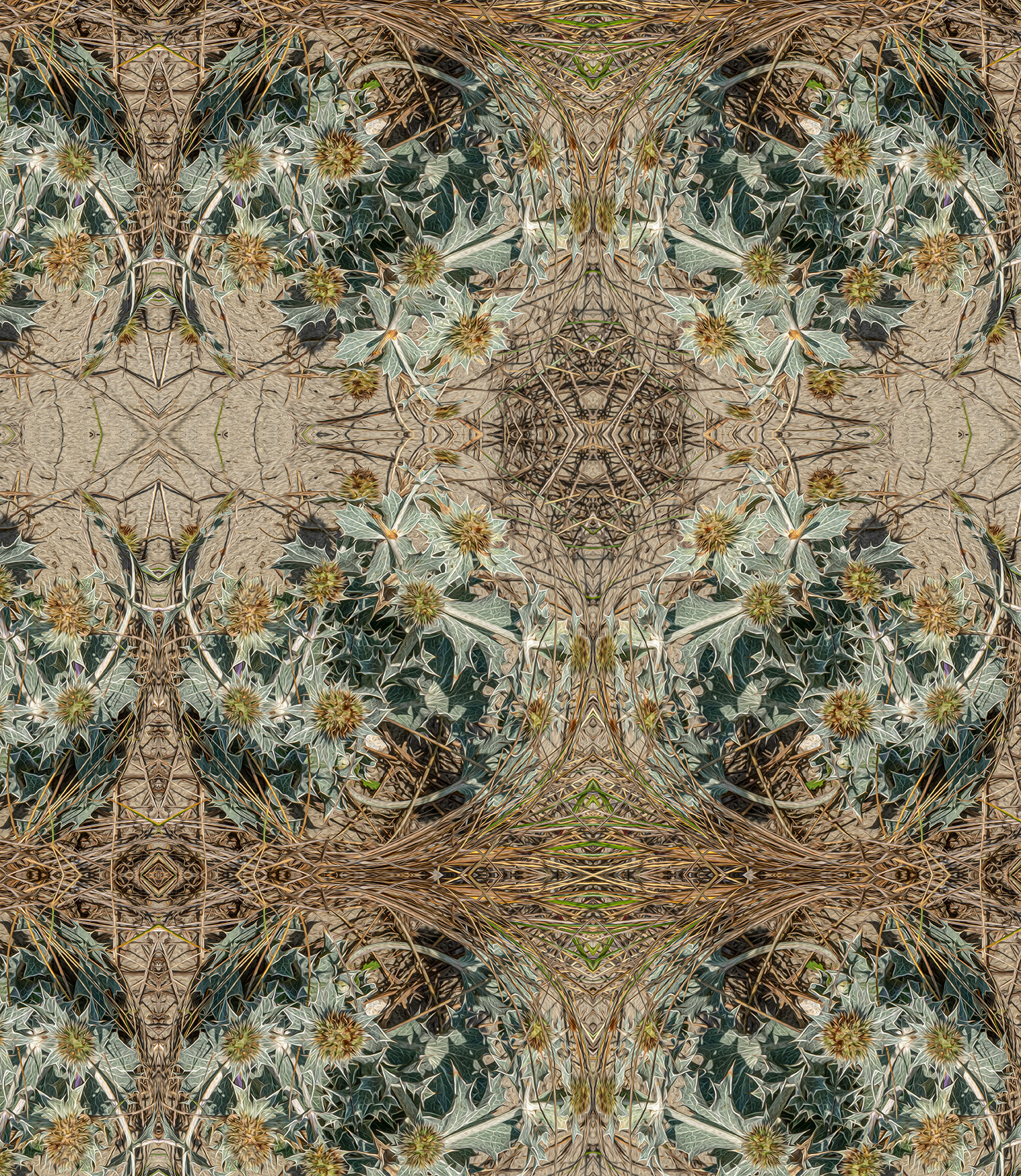 Psychedelic Voyager Art Collection - H-Pinkness