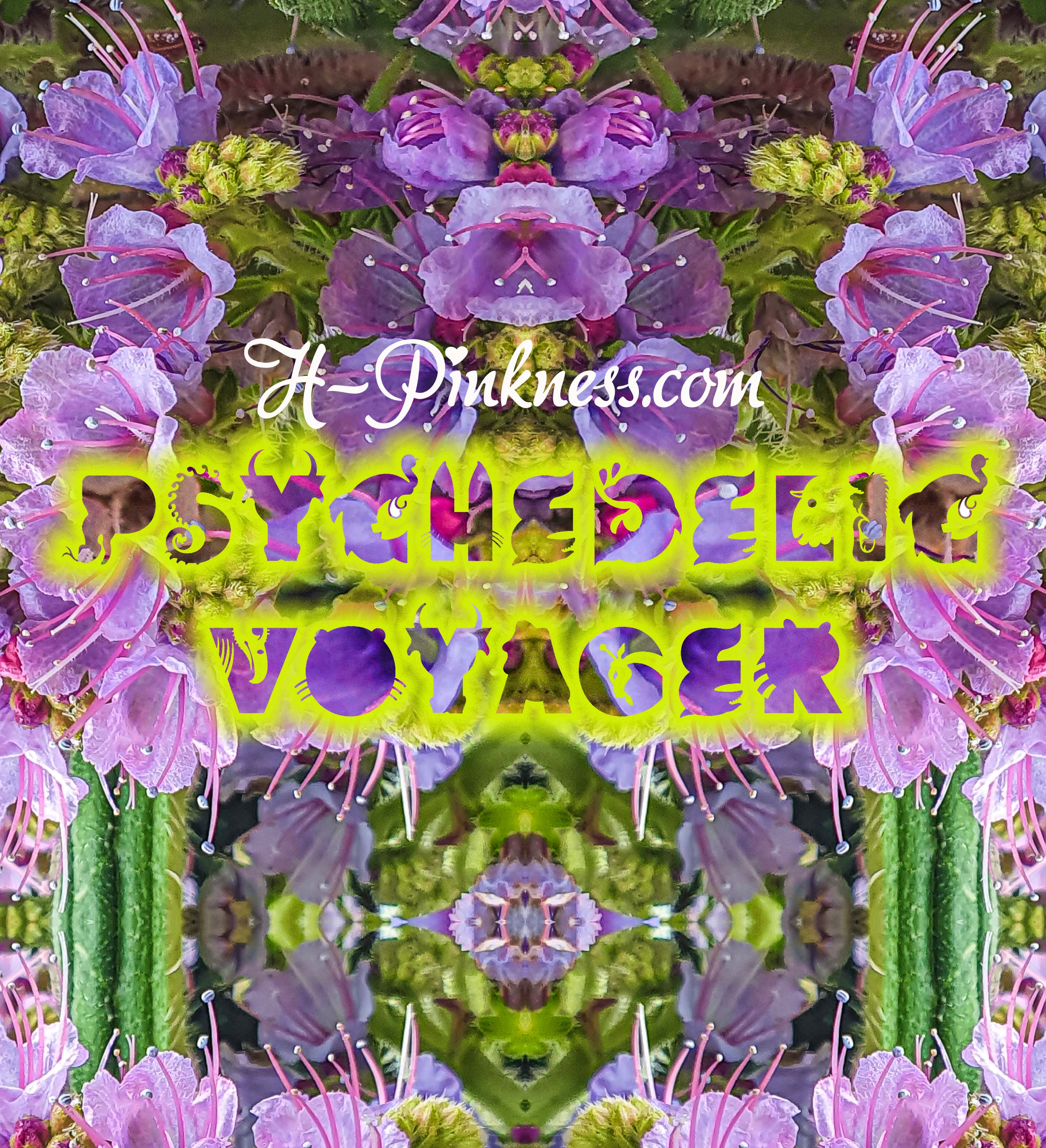 Psychedelic Voyager Art Collection - H-Pinkness