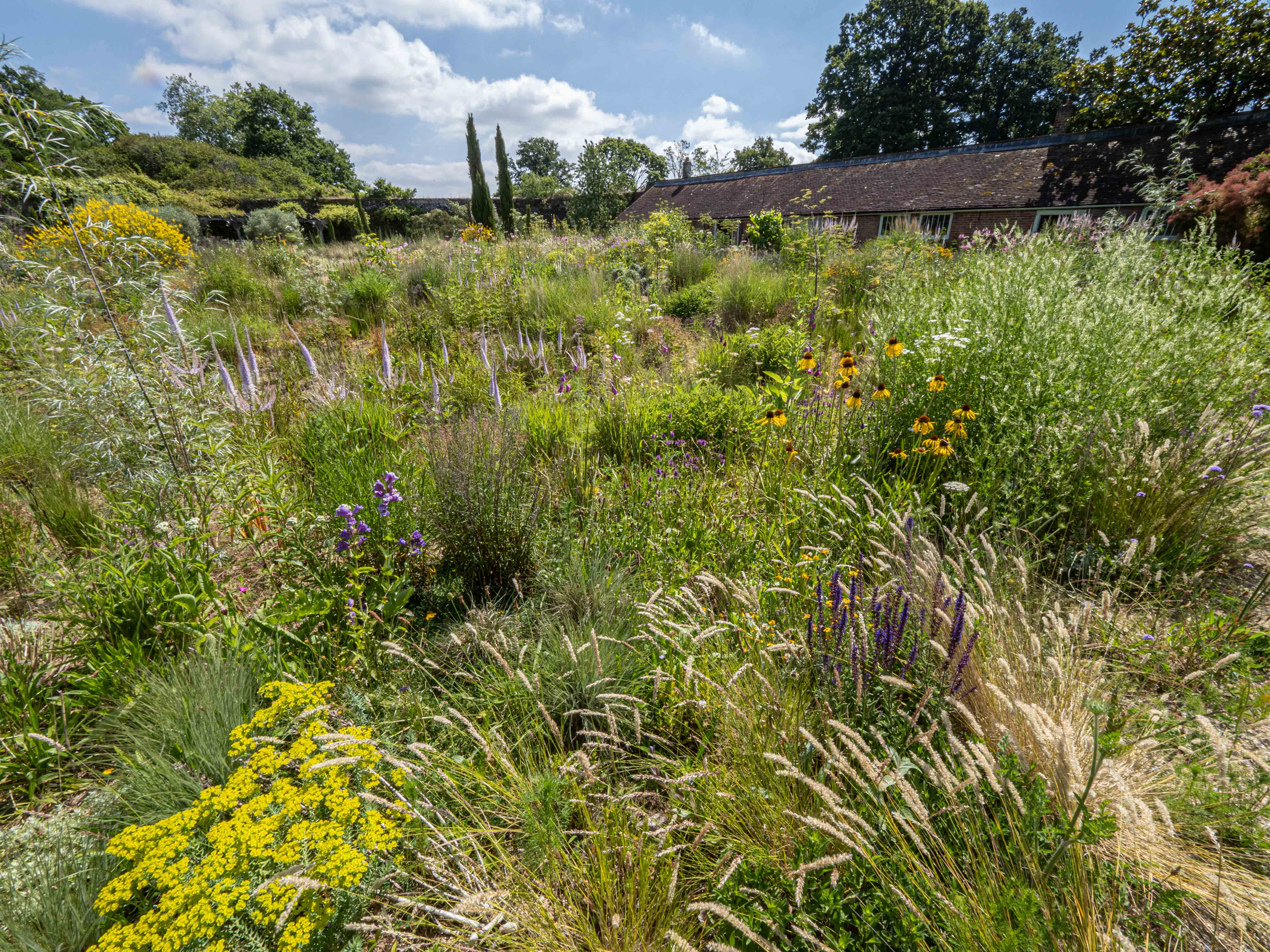 27th July 2024 - Knepp Rewilding Project - Walled Garden Tour - H-Pinkness