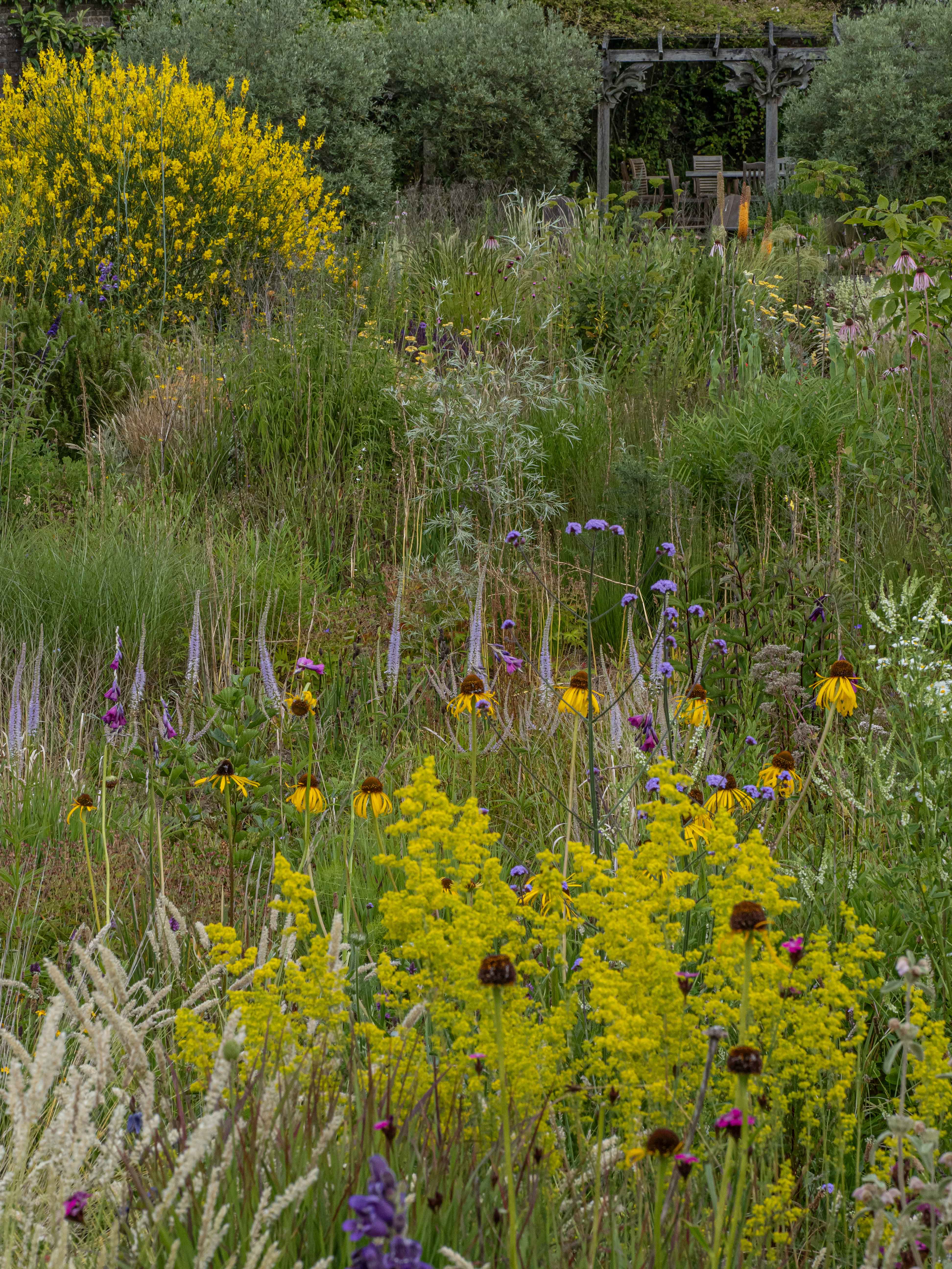 27th July 2024 - Knepp Rewilding Project - Walled Garden Tour - H-Pinkness