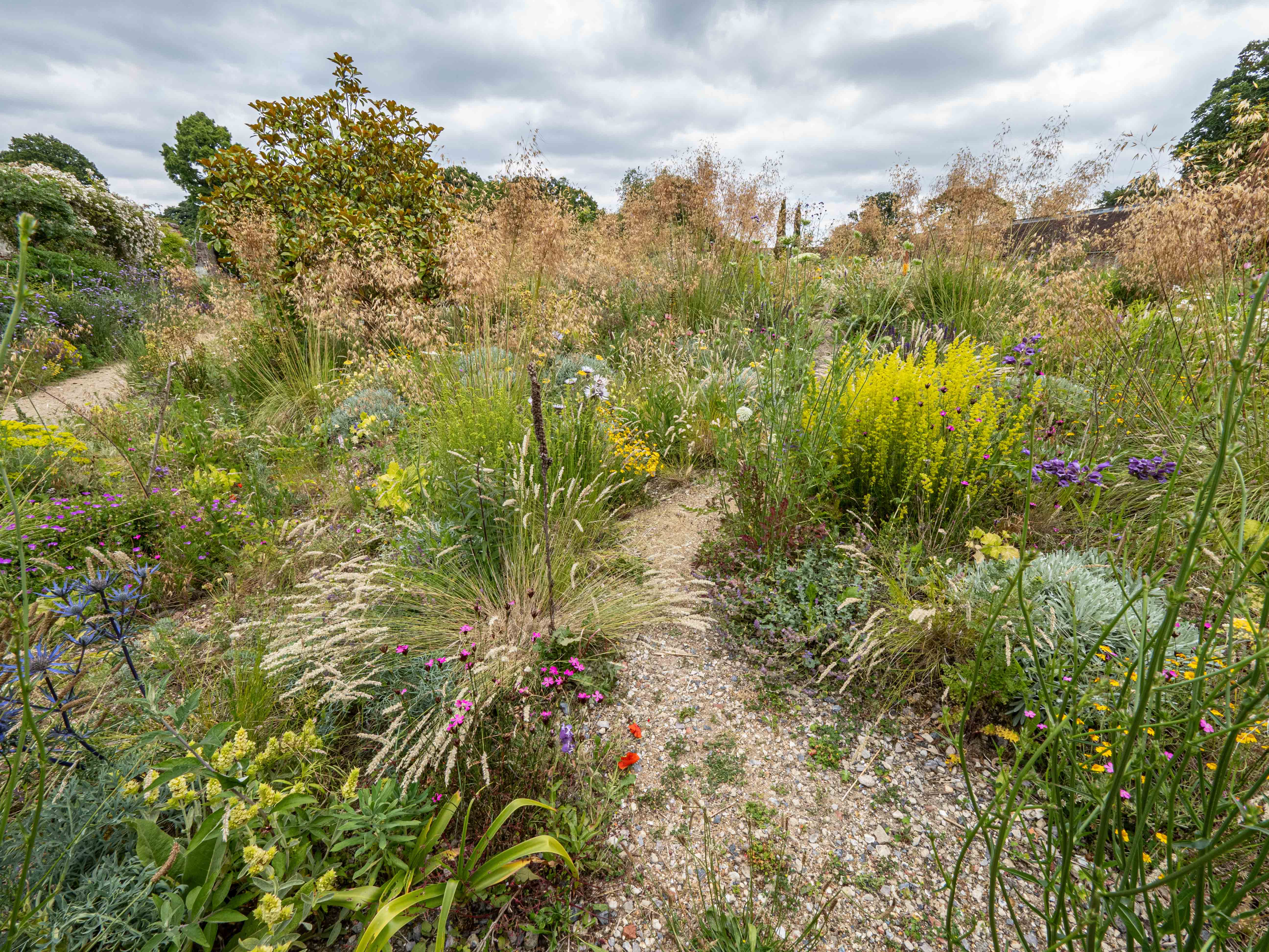 27th July 2024 - Knepp Rewilding Project - Walled Garden Tour - H-Pinkness