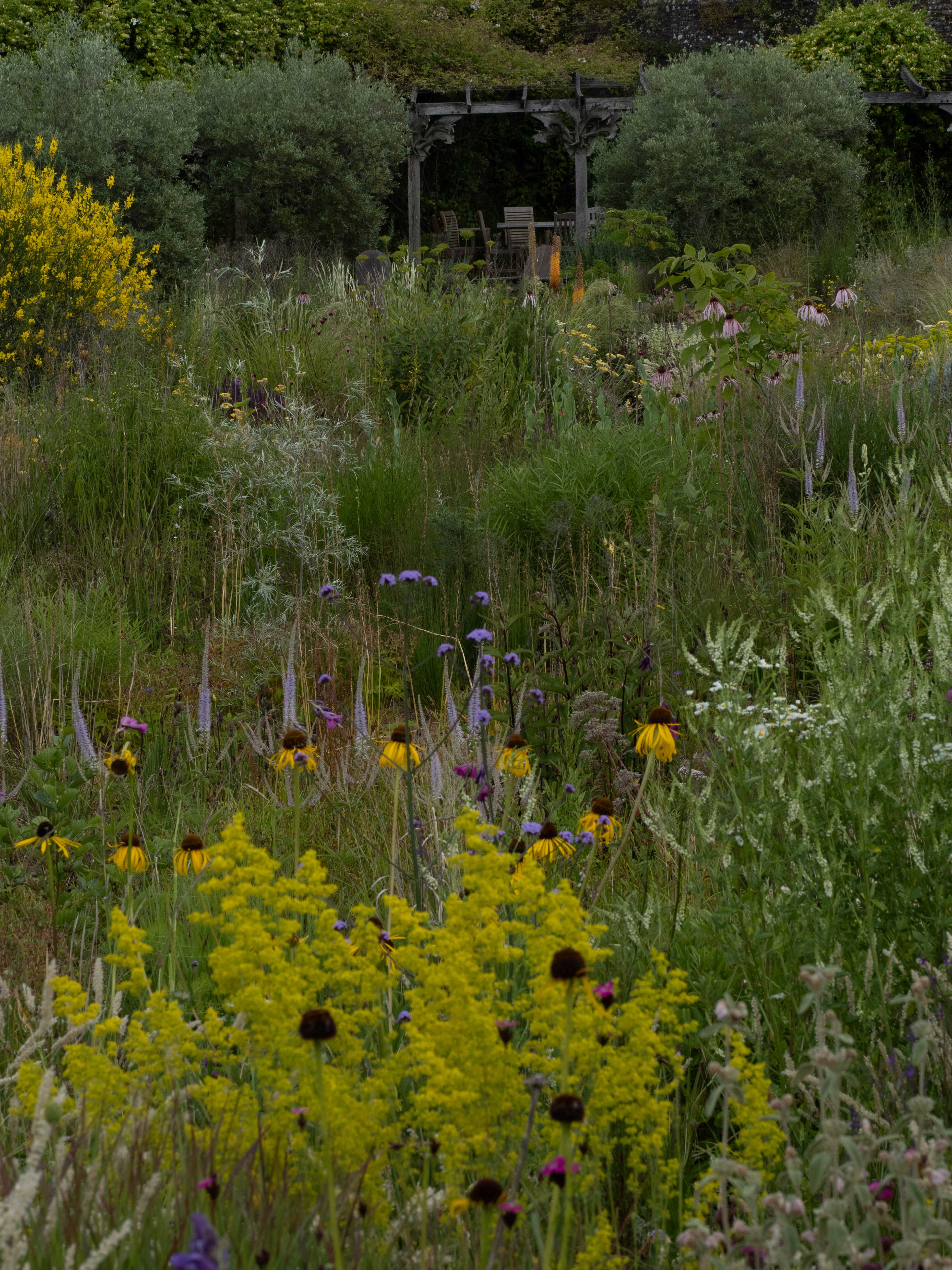 27th July 2024 - Knepp Rewilding Project - Walled Garden Tour - H-Pinkness